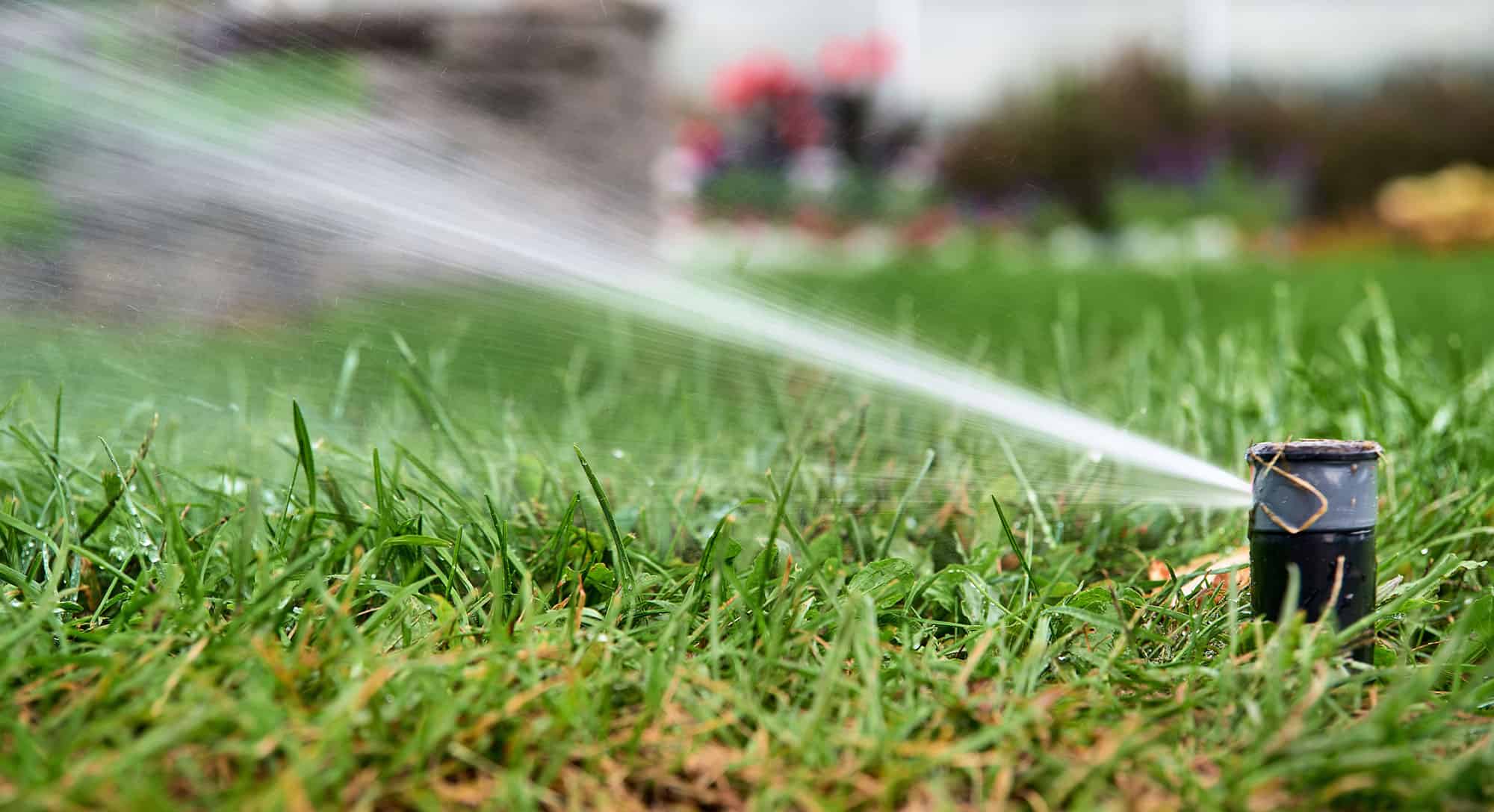 Best #1 Lawn Irrigation Systems Winchester MA | Cliffstone Corporation
